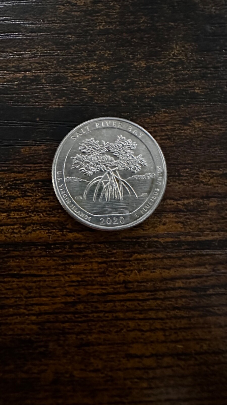 RARE: 2020 P SALT RIVER BAY (U.S. VIRGIN ISLANDS) QUARTER DOLLAR ...