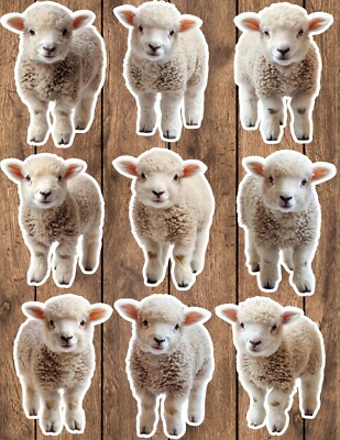 Fluffy Baby Sheep Die Cut Vinyl Stickers Set Scrapbooking Laptop ...