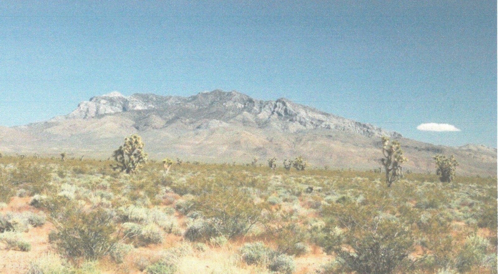 FIVE ACRES of RANCH LAND - SAN BERNARDINO | Grelly USA