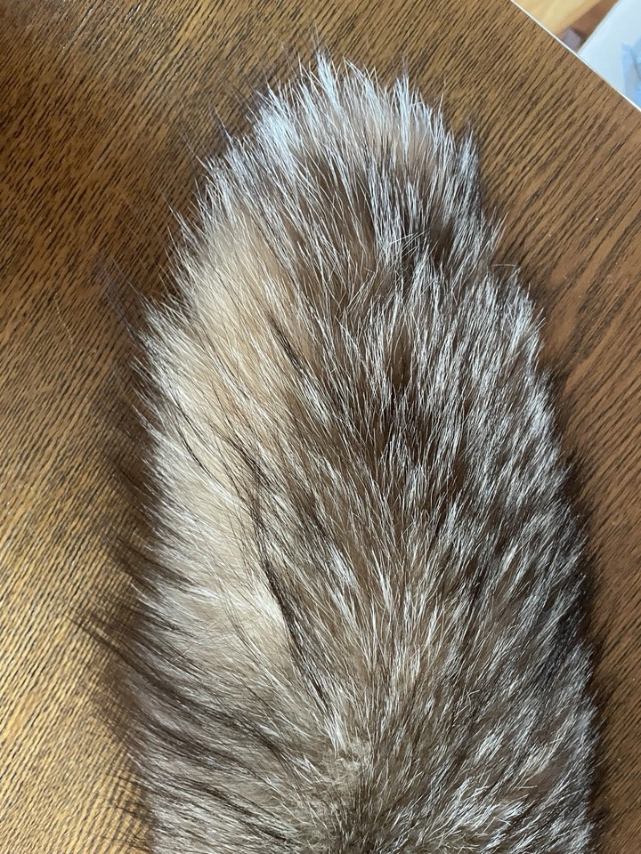 Vintage Fur Stole/Collar, Silver Fox, Coyote, Great Condition | eBay