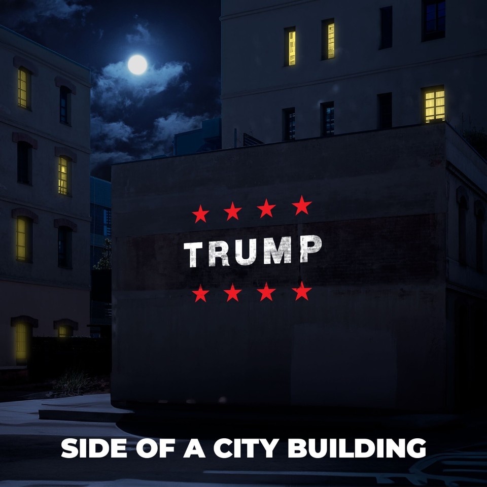 Trump Election Outdoor Projector Lights, LED Landscape Weather ...