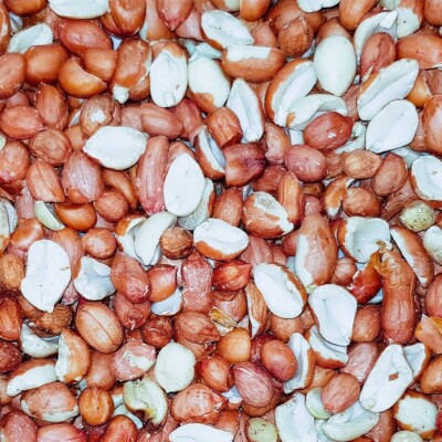12.5kg / 25kg Peanuts for Birds - Wild Bird Peanuts Garden Birds | eBay UK