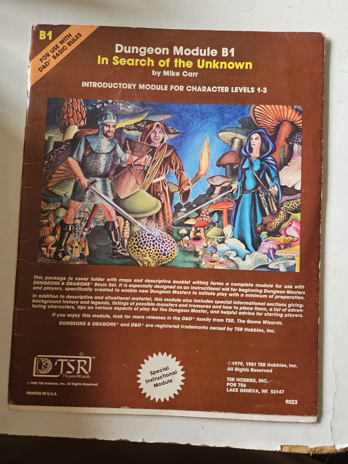 B1 Basic dungeons & and dragons D&D RPG module Book In Search Of The ...