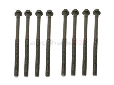 ELRING KLINGER Cylinder Head Bolt Set 0039902522 Mercedes Benz E320 ...