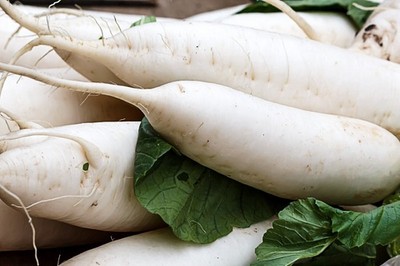 weißer Rettich Radi lecker frisch direkt vom Bauern 3,38 €/Stück | eBay.de