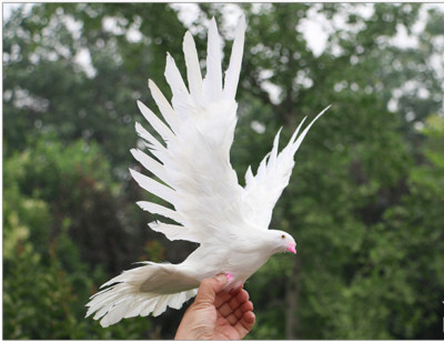 new real life wings dove model foam&feather simulation bird gift about ...