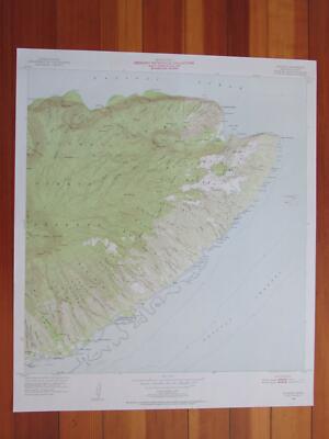 Halawa Hawaii 1953 Original Vintage USGS Topo Map | eBay