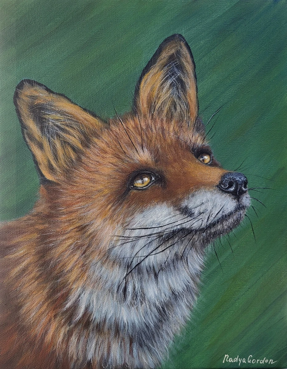 Red Fox Artist