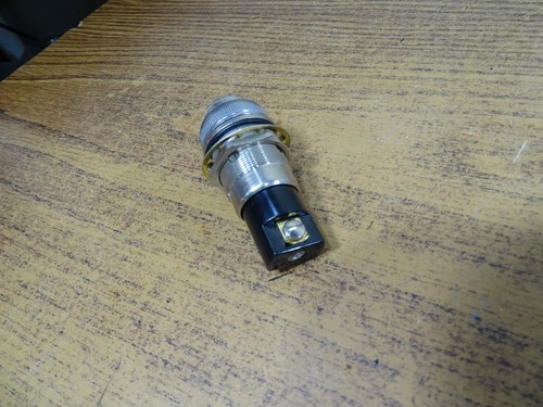 DIALCO Jewel Panel / Pilot Light Steampunk 75W 125V Screw in Lamp Clear ...