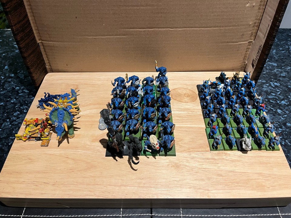 WFB Lizardmen Starter Army Warhammer OOP Games Workshop Seraphon Saurus ...