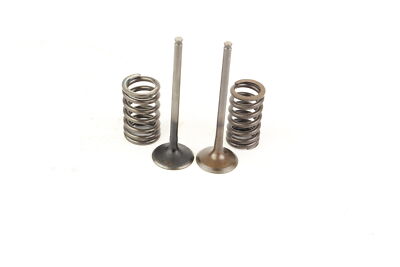 2010 Kawasaki Kfx450r Intake Exhaust Valves and Valve Springs G7248 | eBay