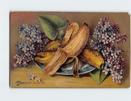 Postcard Embossed Art Still Life Artist Gammius Boecker | eBay