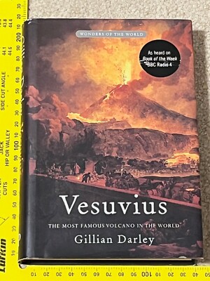 Vesuvius by Gillian Darley Hardcover Book | eBay Australia