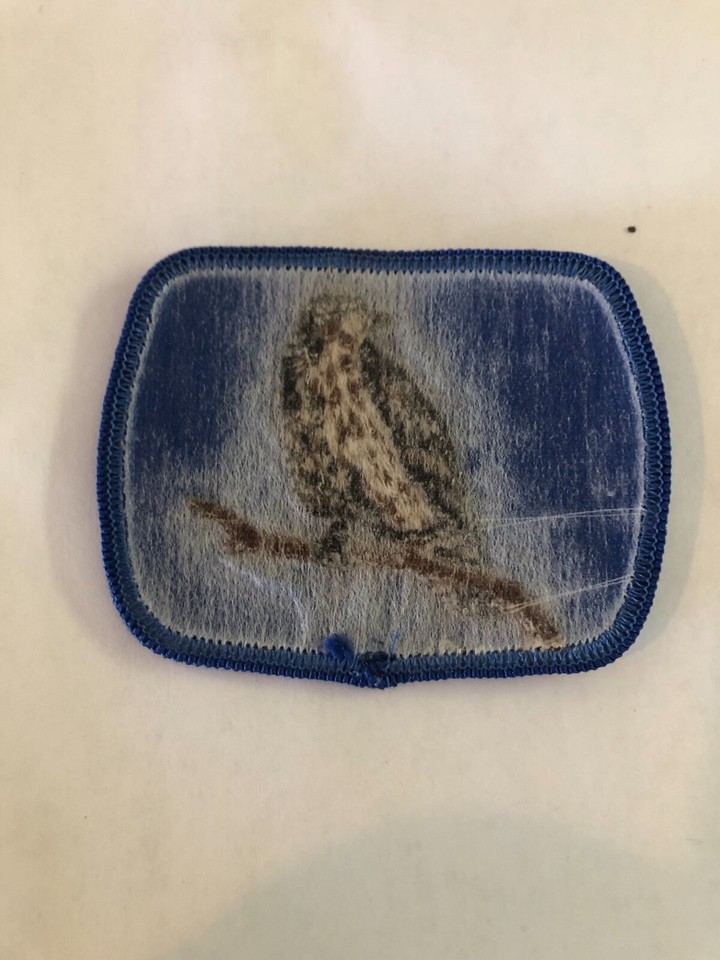 HAWK EMBROIDERED Boy Scout PATCH | eBay