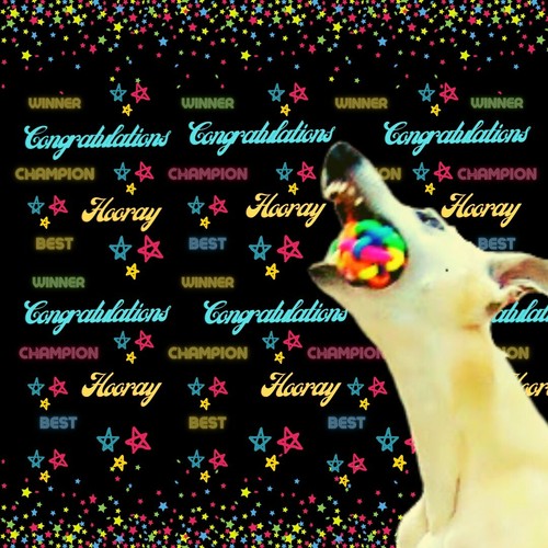Lurcher / Greyhound / Whippet / Dog Congratulations / Hooray / Well ...