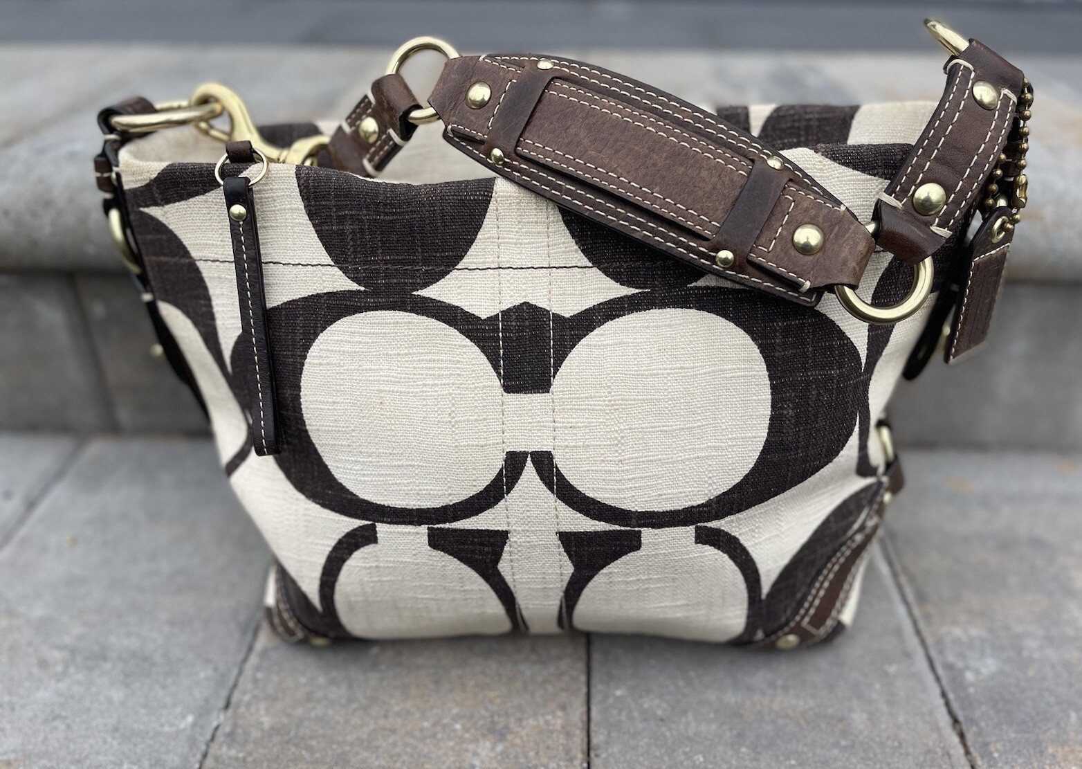 Coach Carly Hobo Signature C Canvas Logo Shoulder Bag… - Gem