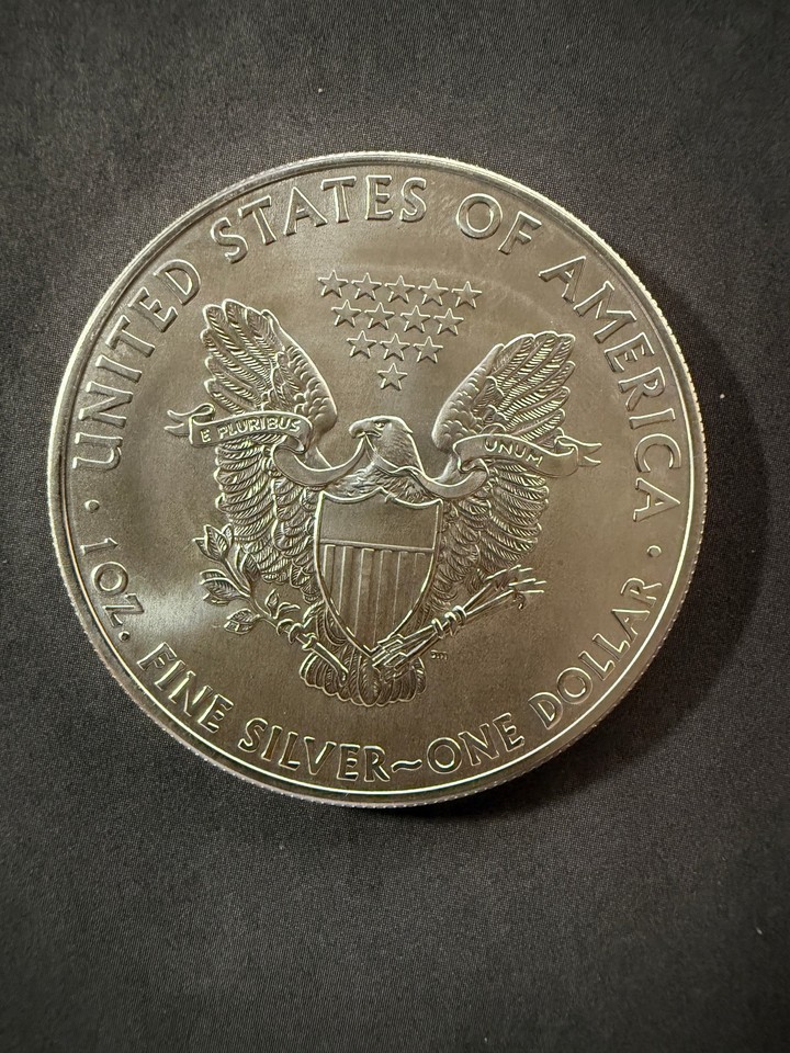 2015 American Silver Eagle Not graded (Ref 17) | eBay