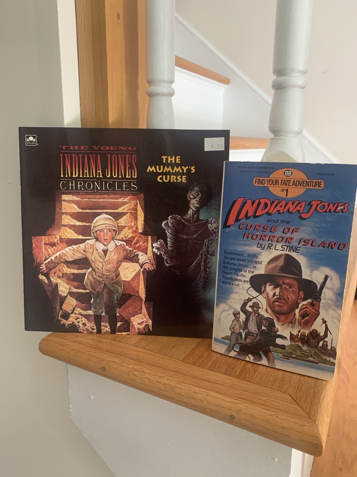 2 Indiana Jones Books The Mummy's Curse & Find Your Fate Curse of ...
