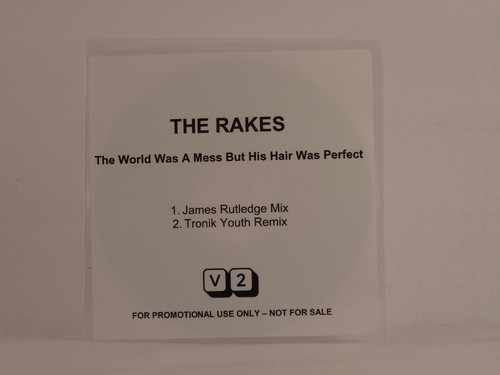 THE RAKES THE WORLD WAS A MESS BUT HIS HAIR WAS PERFECT (E88) 2 Track ...