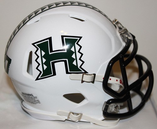 2017 Hawaii Rainbow Warriors Custom Riddell Mini Helmet vs UMass | eBay