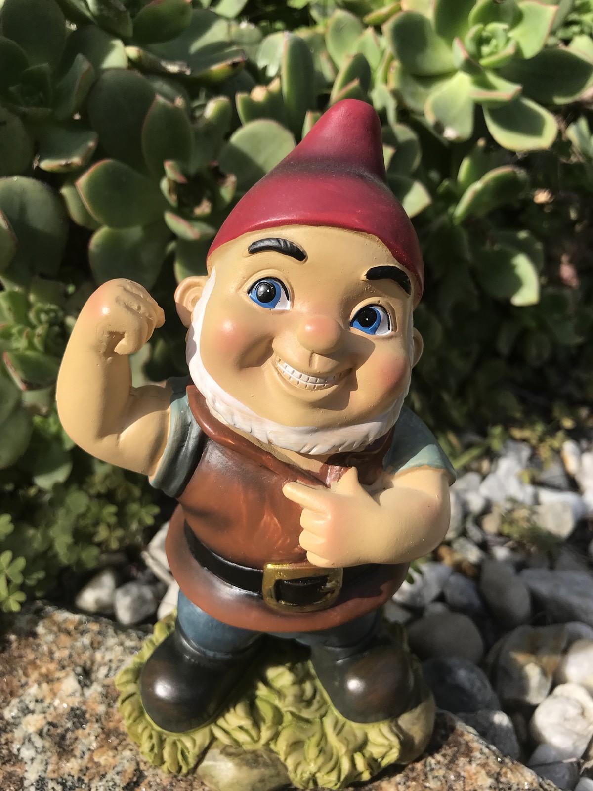 Strong man wobble garden gnome figurine. Fit strongman joke gnomes ...