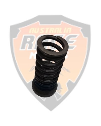 KTM Valve Spring Kit For KTM DUKE 200 2013 2014 2015 2016 2017 2018 ...