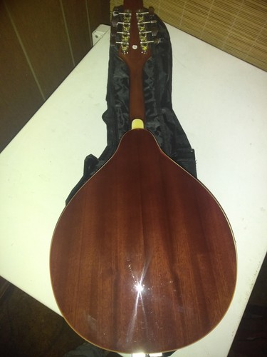 Ktone A-style Acoustic Electric Mandolin Gig Bag Redburst for sale ...