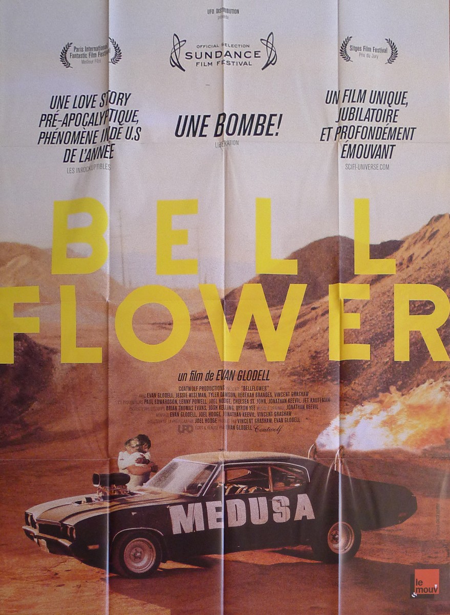 Desert Flower Movie Poster