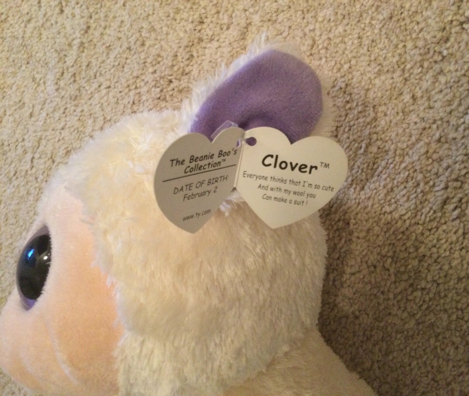 Ty Clover Lamb Beanie Boo Buddy 9" - Purple Hang Tag | eBay