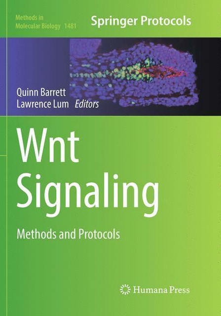 Wnt Signaling von Quinn Barrett Lawrence Lum (2018, Taschenbuch) for ...
