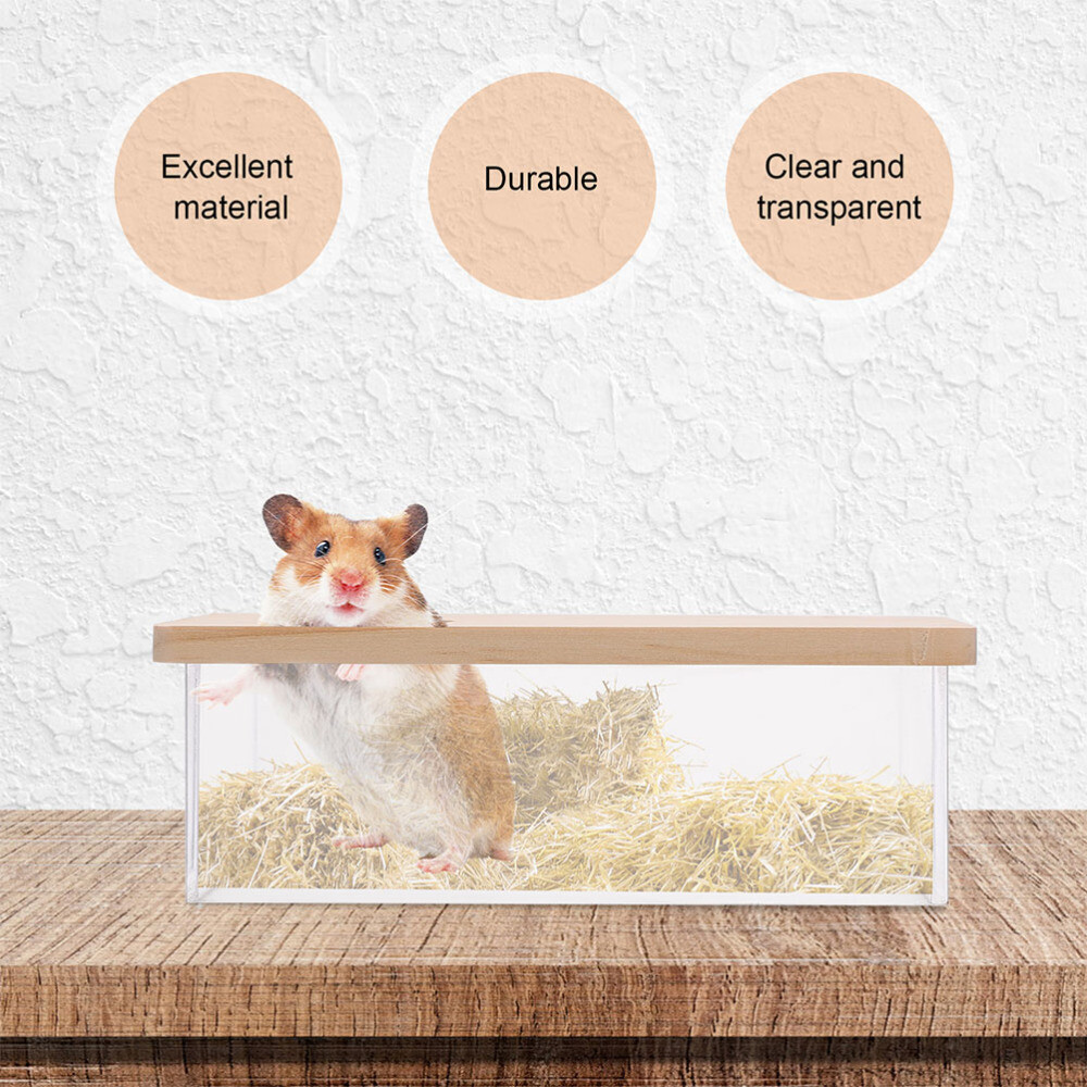 Glass Gerbil Cages
