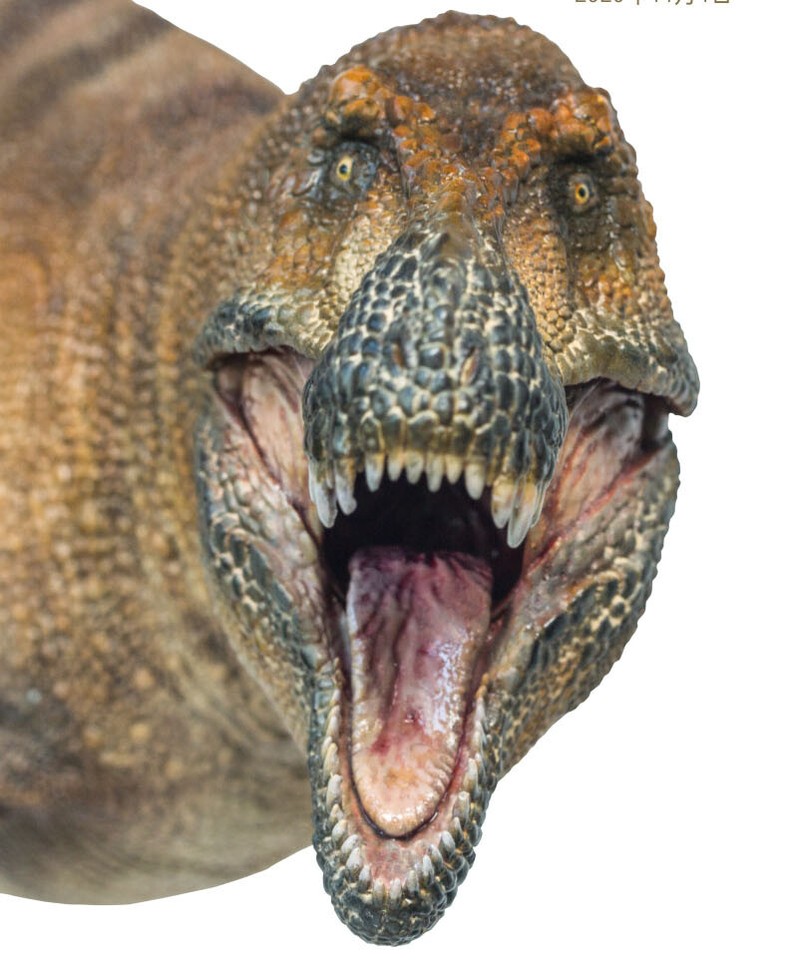 PNSO DINOSAURS WILSON TYRANNOSAURUS REX 1/35 SCIENTIFIC ART MODEL | eBay