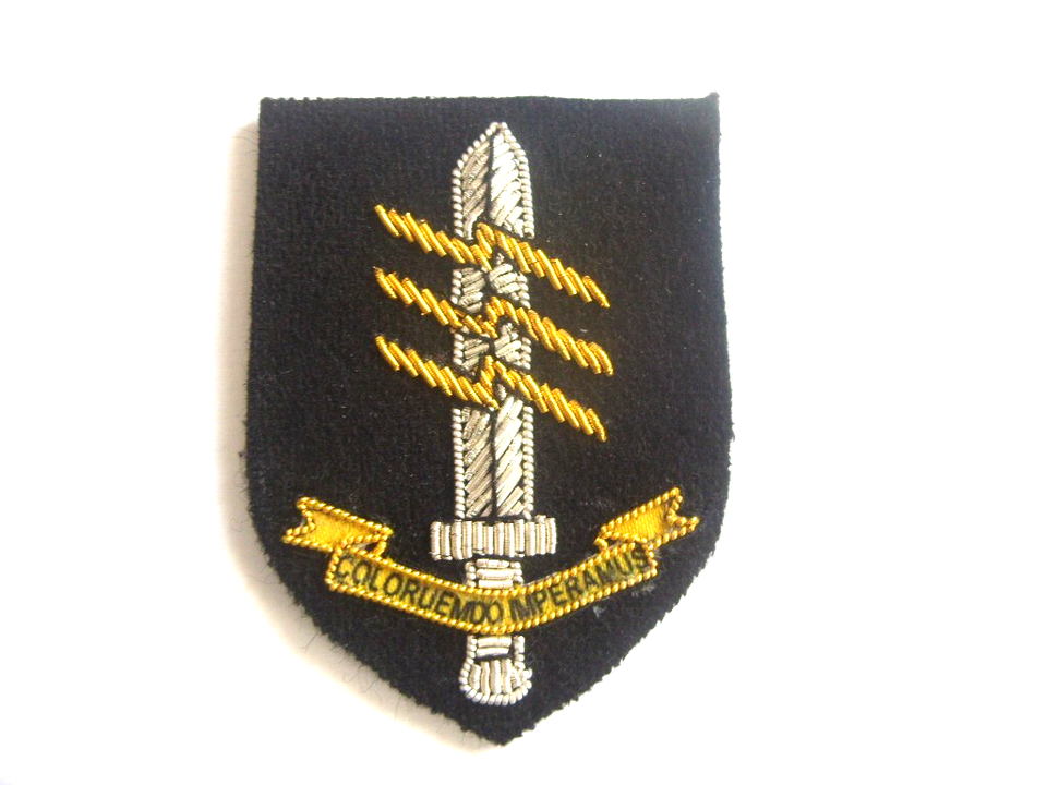 18 SIGNAL REGIMENT SAS OFFICER QUALITY BERET & ALL RANKS CAP BADGE UKSF ...