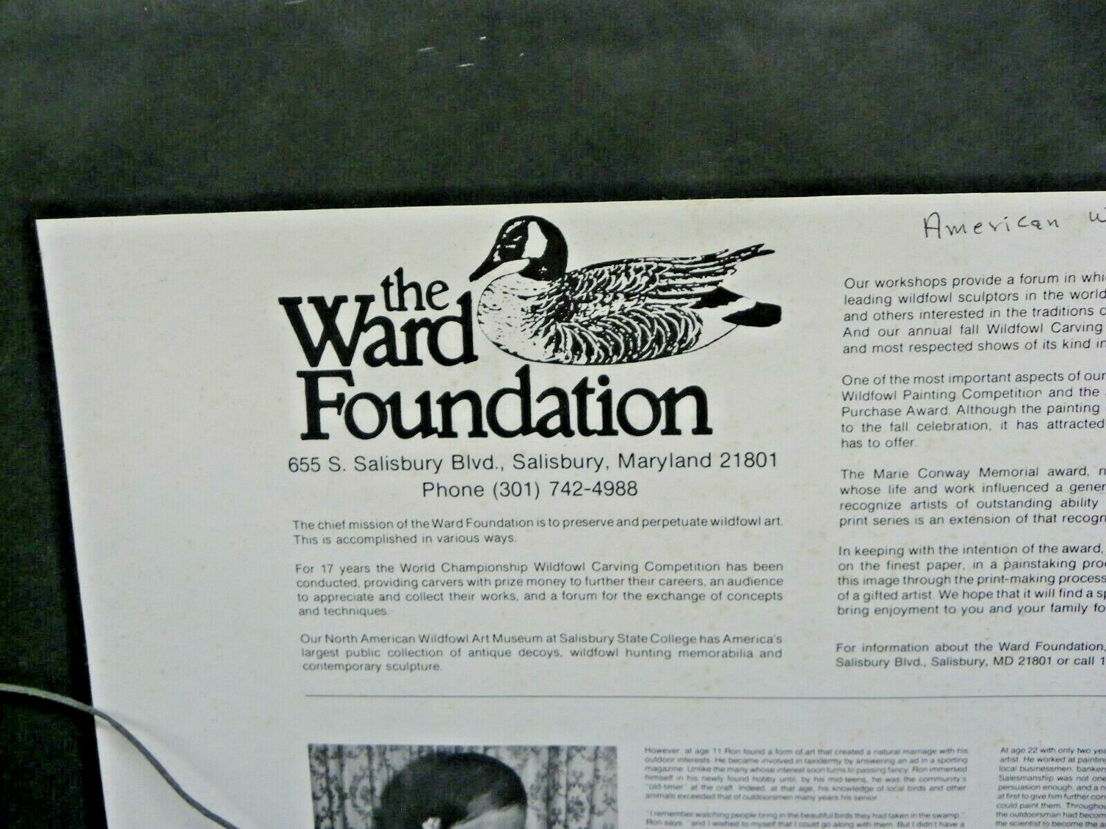 1984 Ronald Louque. Signed 764/1000 framed print The Ward Foundation ...