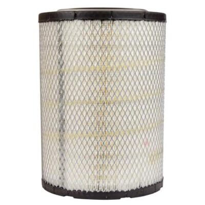 Fleetguard AF25598 | eBay