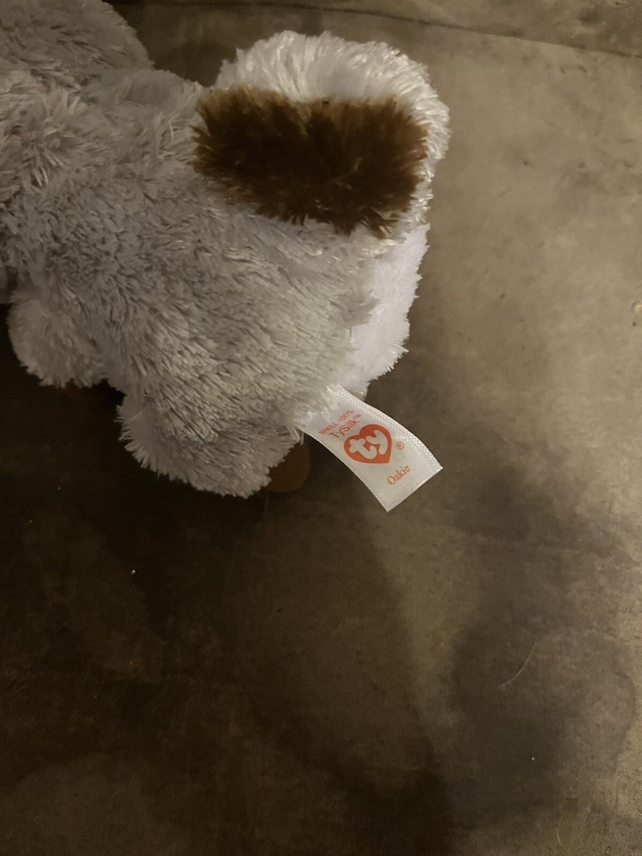 ty beanie babies Boos Oakie The Raccoon. Mwmt. 6 Inches | eBay