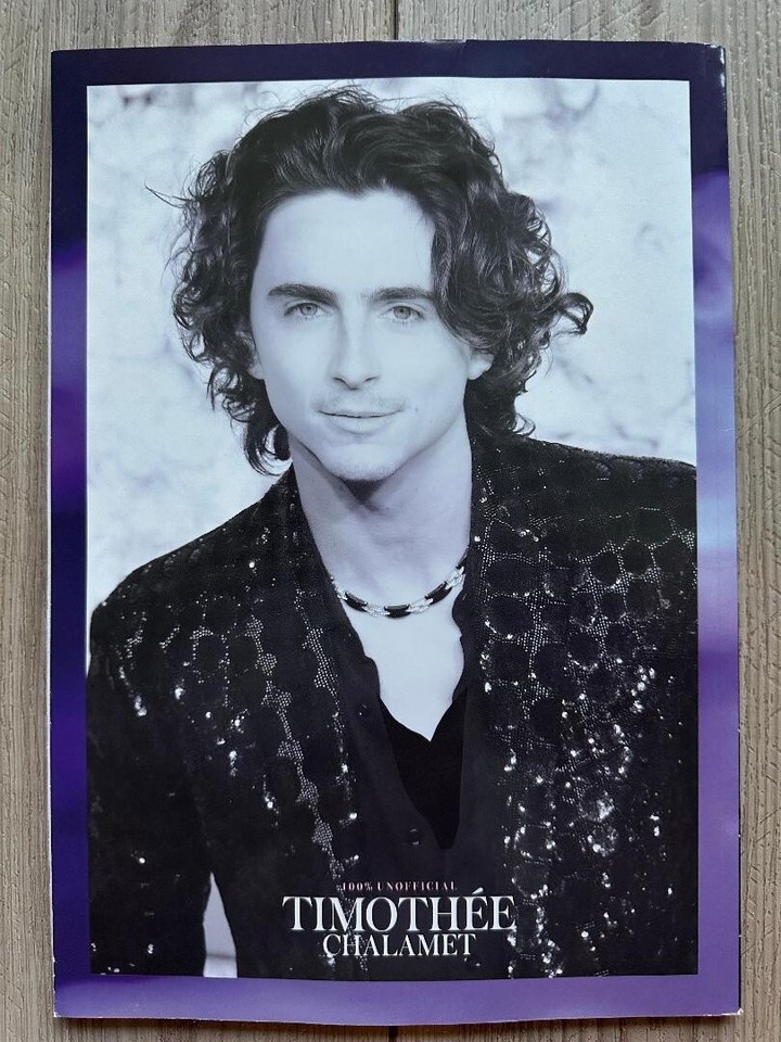 2024 TIMOTHEE CHALAMET Magazine KINGS OF SCREEN Special Edition MAD ...