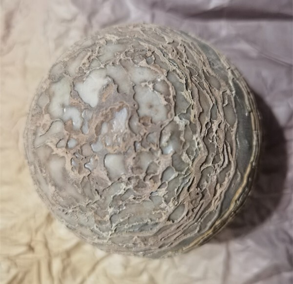 Segnosaur Dinosaur Egg Fossilized Crystallized Fossil Jurassic ...