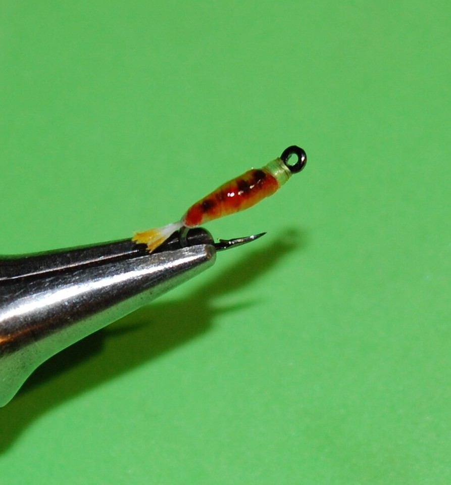 1 dozen (12) Nano Emerger - Life Stage Pupa - Sub Surface Fly - Tandem ...