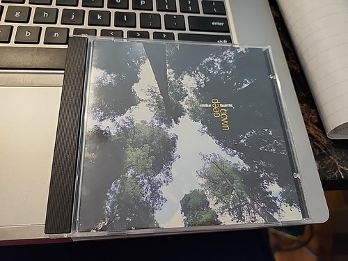 EX CD-Mike Burris Deep Down | eBay