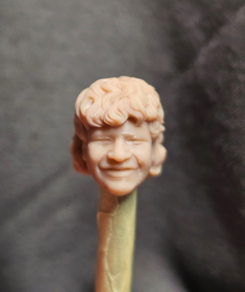 STRANGER THINGS Dustin Henderson Custom Head Sculpt 1/18 1/12 1/10 1/6 ...