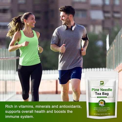 Organic Pine Needle Tea Bags Fresh Bag Improve Sleeping | eBay