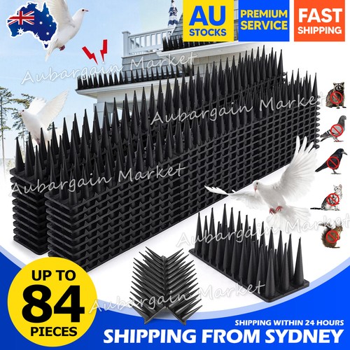 48x Bird Spikes Deterrent Anti Cat Human Possum Spiked Fence Mouse Pest ...