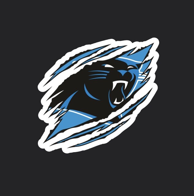 CAROLINA PANTHERS Logo Sticker Bat Stickers Car NFL Football Decal | eBay