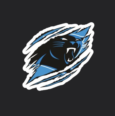 CAROLINA PANTHERS Logo Sticker Bat Stickers Car NFL Football Decal | eBay