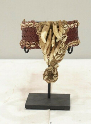 Pacific Islands & Oceania - Dog Tooth