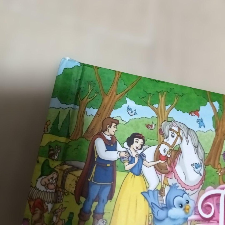 Disney Princess Picture Book Look and Find English Version | eBay