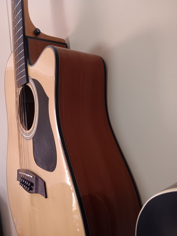 Fesley 12 string acoustic guitar | eBay