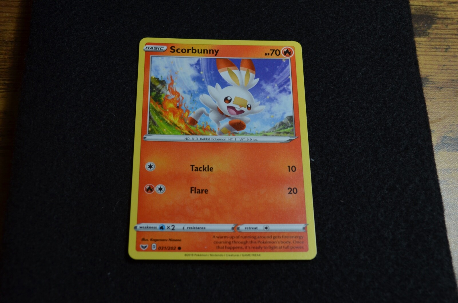 POKEMON SWORD & SHIELD SCORBUNNY 031/202 NM/MINT PACK FRESH | eBay