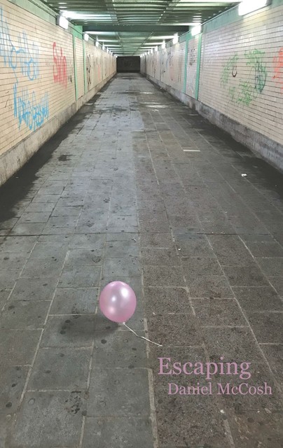 Escaping von Daniel McCosh (2020, Taschenbuch) online kaufen | eBay.de